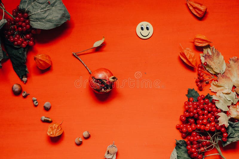 Autumn Red and Yellow Leaves Fruit Nuts Fall Background Stock Image ...