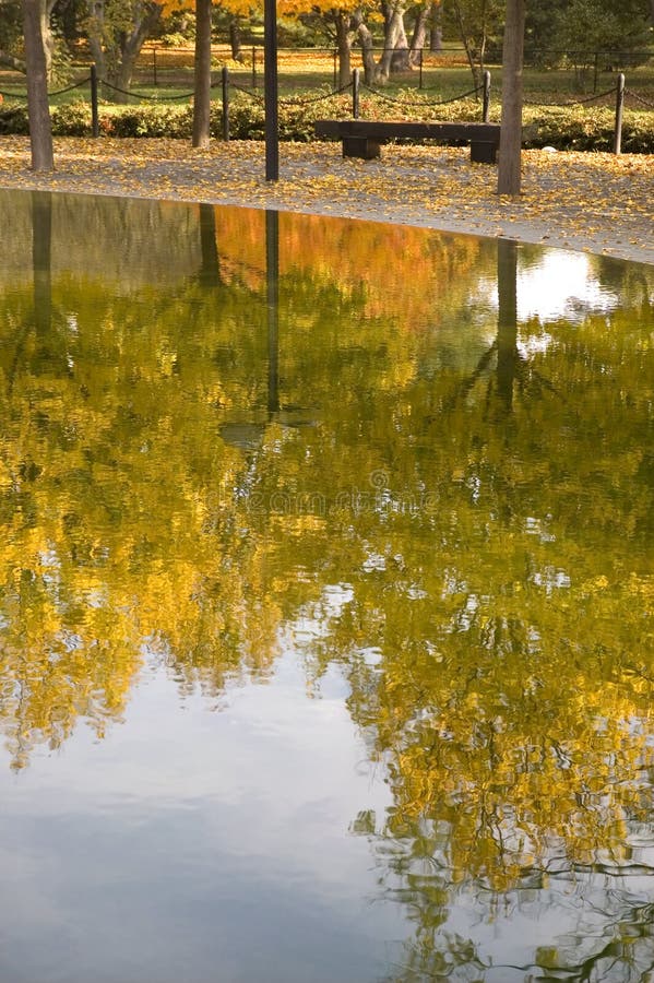 Autumn Reflection stock image. Image of colorful, mirror - 11375613