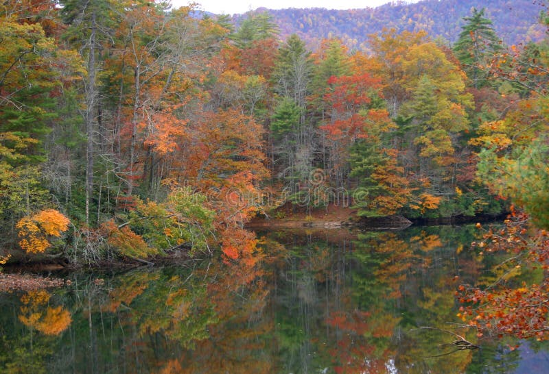 Autumn Reflection stock photo. Image of change, autumn - 12016618