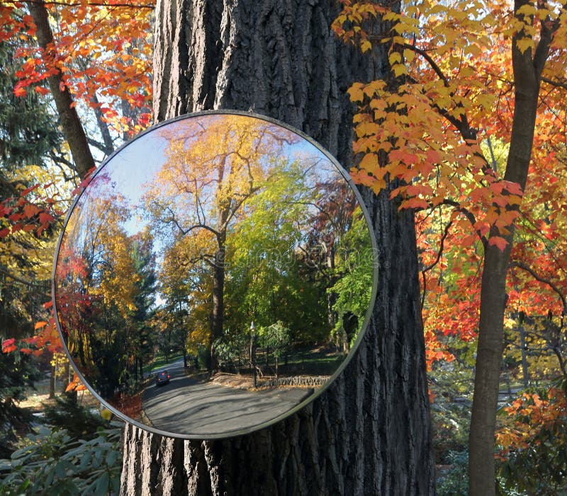 Autumn Reflection 2 stock photo. Image of green, seasonal - 17297714