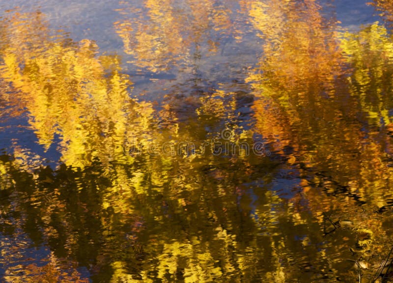 Autumn Reflection stock image. Image of trees, leaves - 28849545