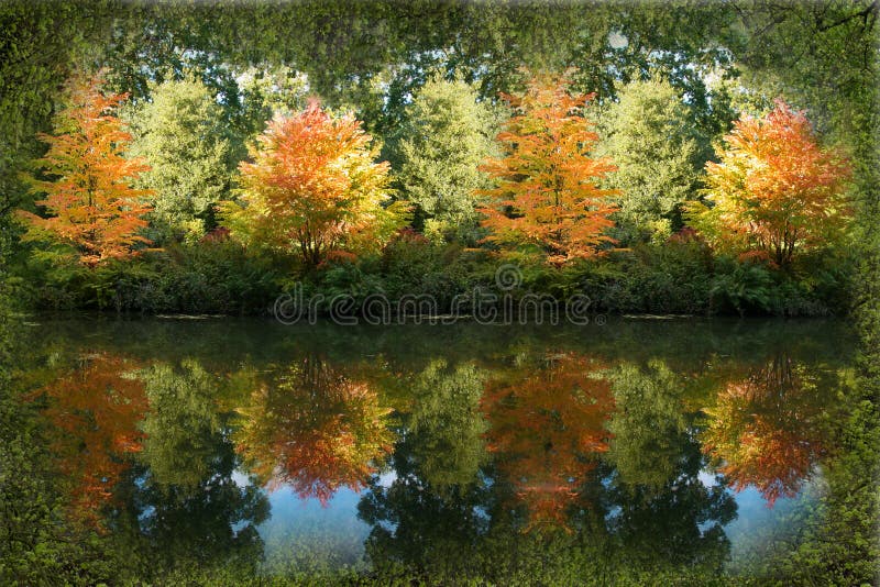Autumn Reflection stock foto. Image of kleur, kleurrijk - 34556222
