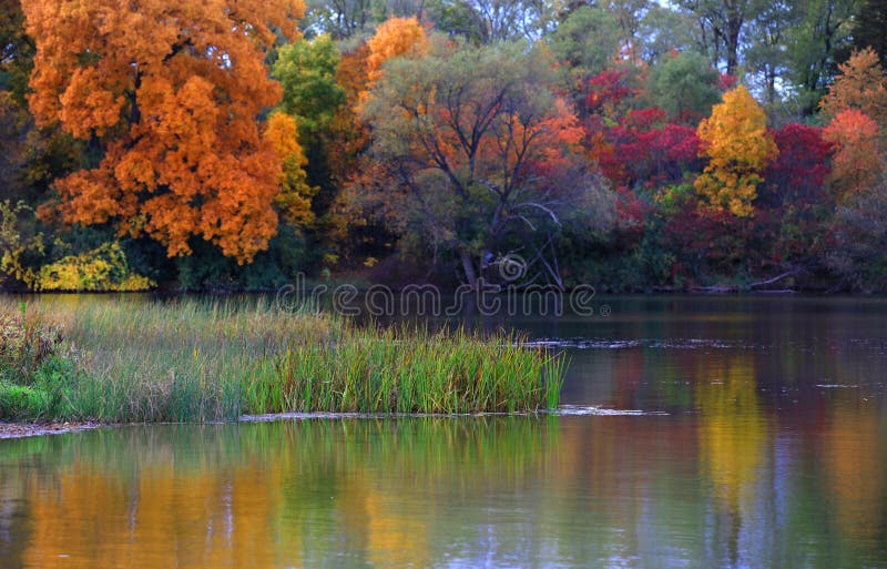 Fall Colors stock photo. Image of landscape, season, tree - 13116846