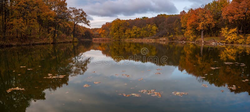Autumn reflection stock image. Image of high, leaves - 61470983