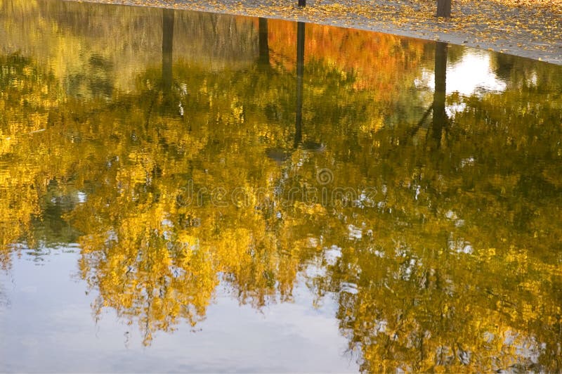 Autumn Reflection Landscape Stock Photo - Image of leaves, reflection ...
