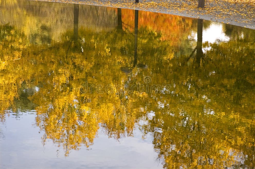 Autumn Reflection Landscape Stock Photo - Image of leaves, reflection ...