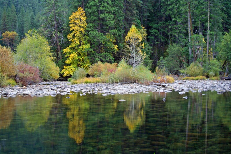Autumn Reflection on the Merced River (CA 02599 Stock Photo - Image of ...