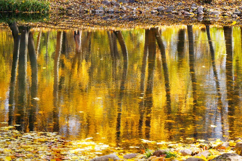 Autumn. Reflection in the Water of the Autumn Forest Stock Image ...