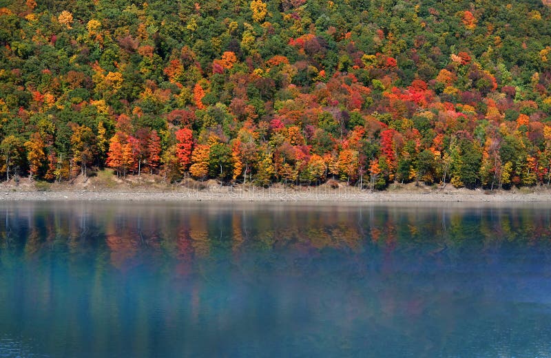 Autumn reflections stock image. Image of morning, park - 10883475