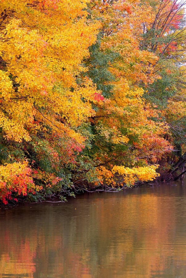 Autumn Reflections stock photo. Image of water, reflect - 1462050