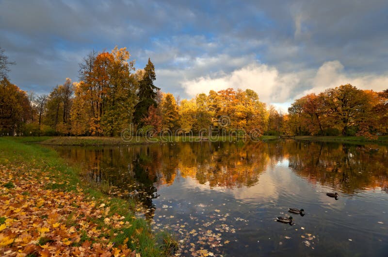 Autumn reflections stock photo. Image of pond, leaves - 27725156