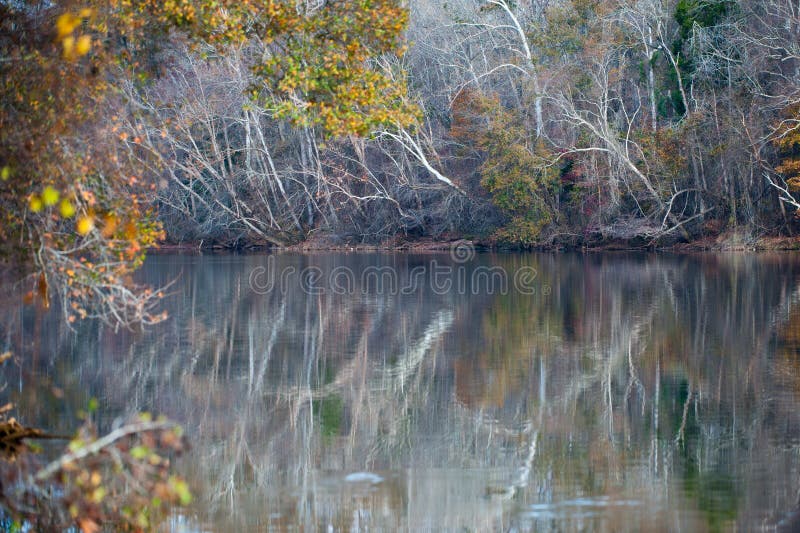 Autumn Reflections stock photo. Image of fall, trees - 29631096
