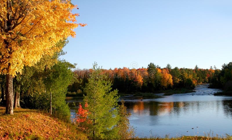 Autumn Reflections stock photo. Image of seasonal, green - 3239110
