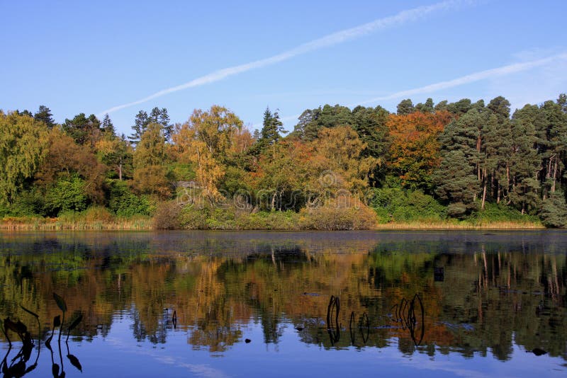 Autumn reflections stock photo. Image of rothbury, lake - 3375324