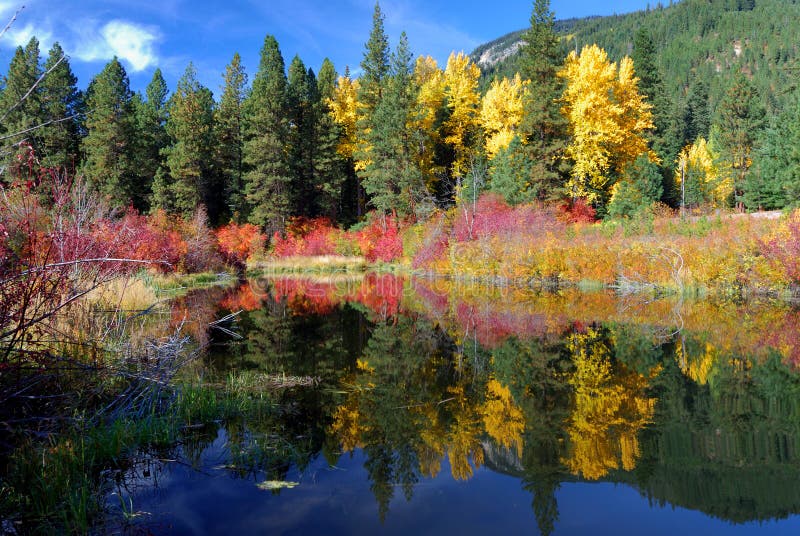 Autumn Reflections stock image. Image of foliage, view - 3388139