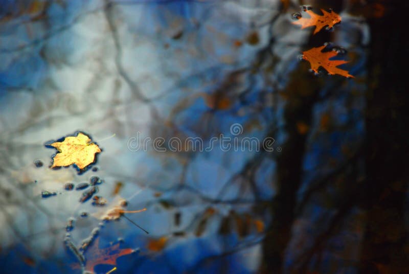Autumn Reflections stock photo. Image of autumn, reflections - 3725668