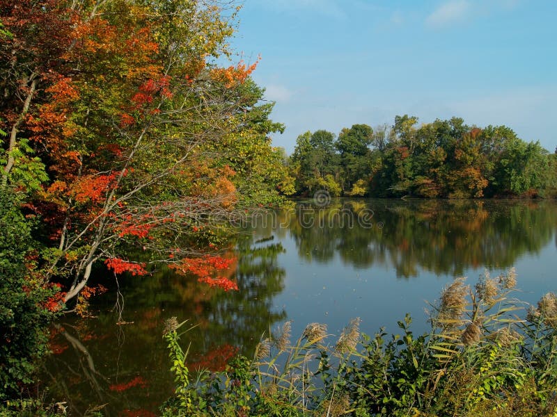 Fall Reflections Picture. Image: 17390715