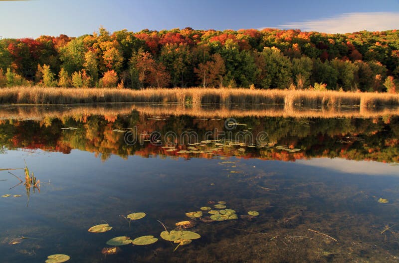 Autumn reflections stock image. Image of mountain, foliage - 96840867