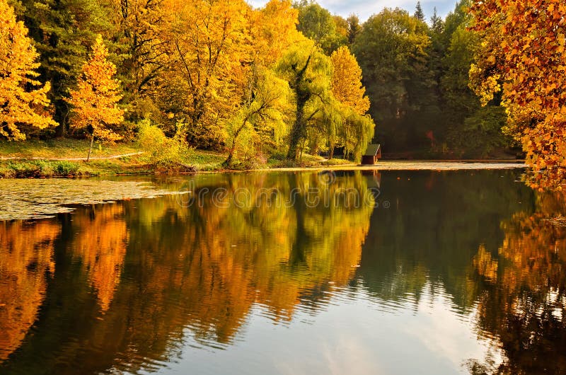 Autumn reflections stock image. Image of tranquil, nature - 48032917