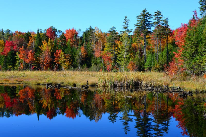 Adirondack Pond and Forest during Autumn Season Stock Image - Image of ...