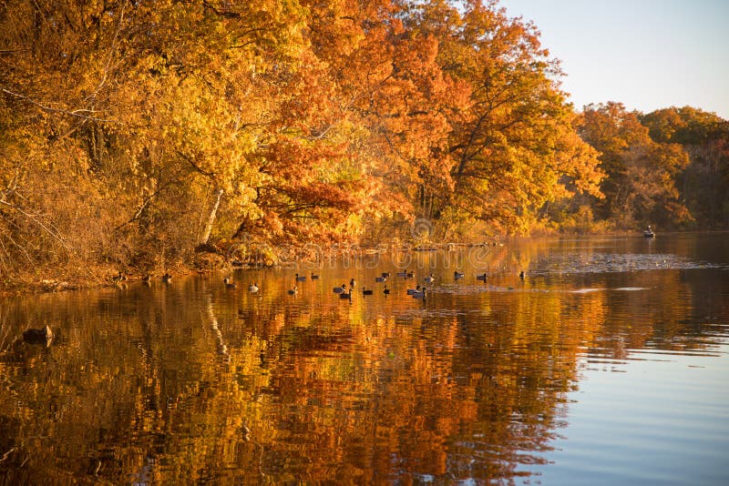 Autumn Reflections of Foliage in the Lake Stock Photo - Image of golden ...