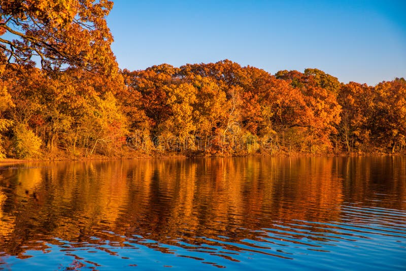 Autumn Reflections of Foliage in the Lake Stock Image - Image of ...