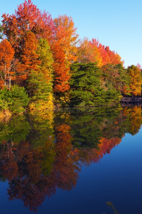 Autumn reflections stock image. Image of scenic, foliage - 80610163