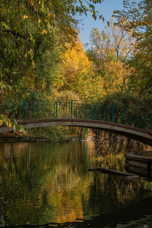Autumn reflexion scene stock image. Image of stream - 235906043