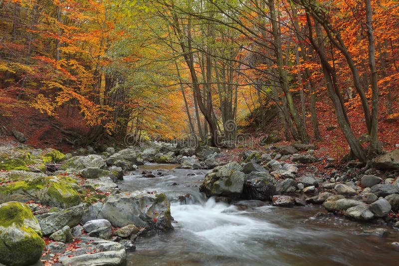 Autumn river stock image. Image of park, hike, scenery - 12625845