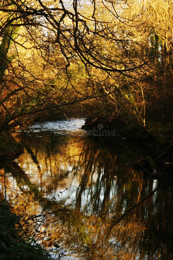 Autumn river stock image. Image of stream, autumn, peaceful - 1361963