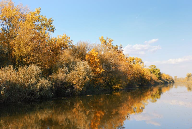 Autumn river stock image. Image of brown, nature, cloud - 15353555