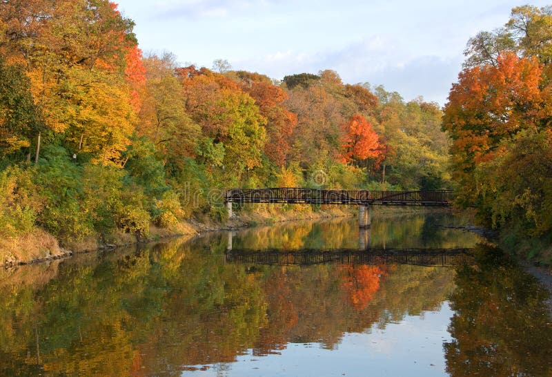 Autumn River stock photo. Image of park, forest, bright - 16507052