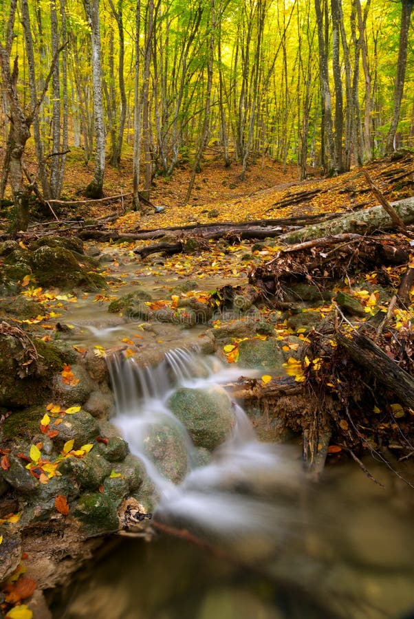 Autumn river stock photo. Image of november, park, natural - 16577846