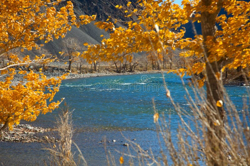Autumn river stock image. Image of beauty, outdoors, rural - 28543677