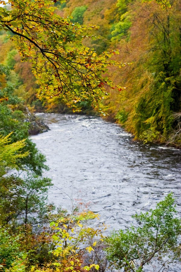 Autumn river stock photo. Image of fall, lush, flowing - 2960754