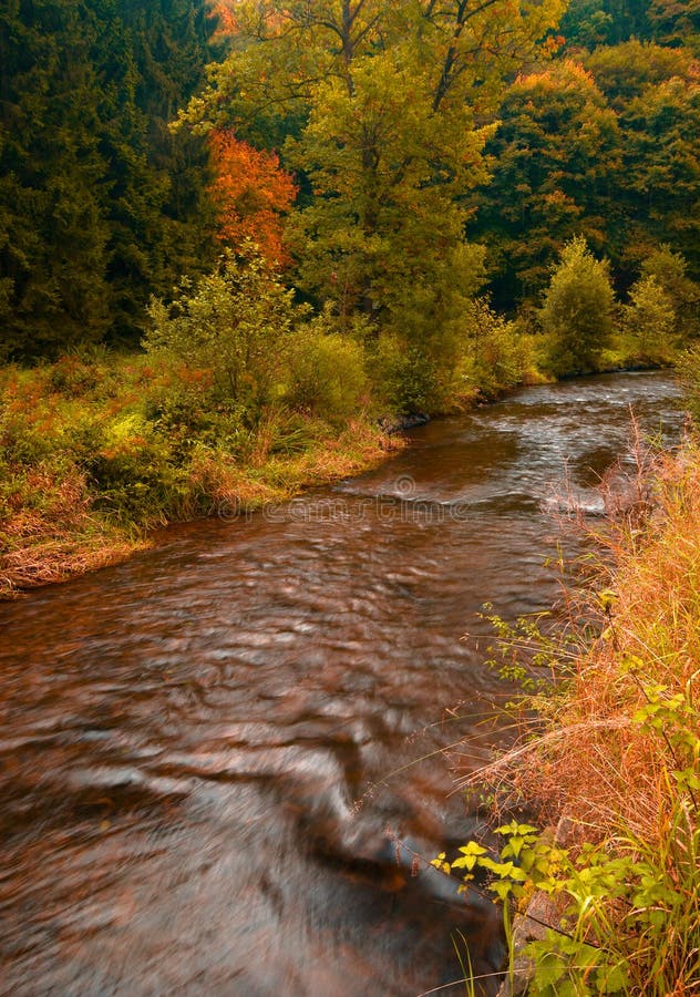 Autumn River stock photo. Image of grass, peaceful, leaves - 27899544