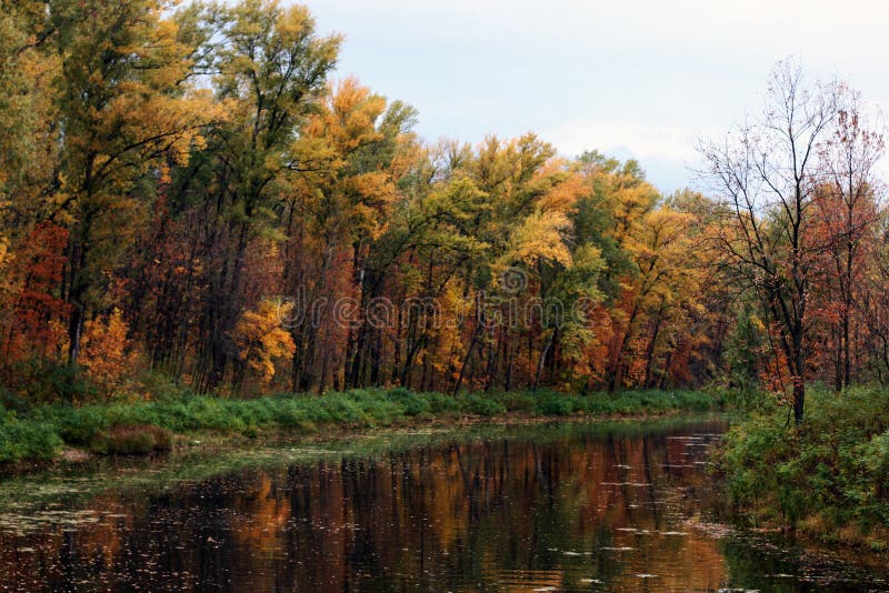 Autumn River Picture. Image: 6685152