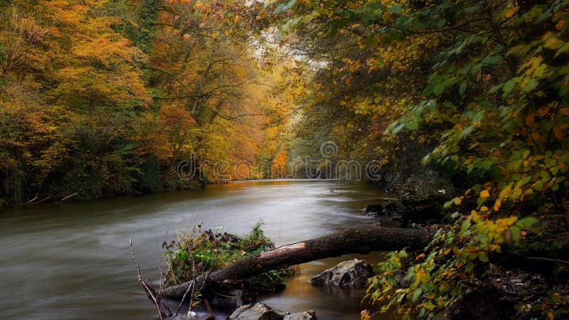 Autumn river stock photo. Image of autumn, trees, landscape - 260976910
