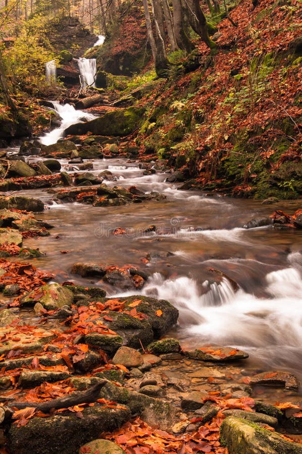 Autumn river with leaves stock image. Image of flowing - 76865093