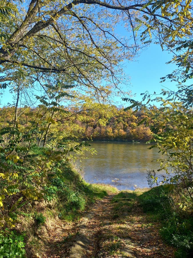 Autumn River on a Magical Bright Sunny Day Stock Photo - Image of ...