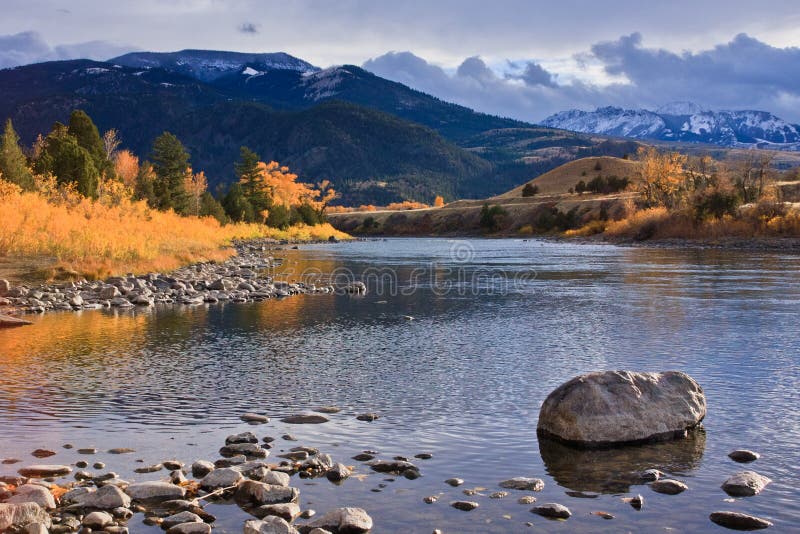 Autumn River in Montana. stock photo. Image of plant - 17860580