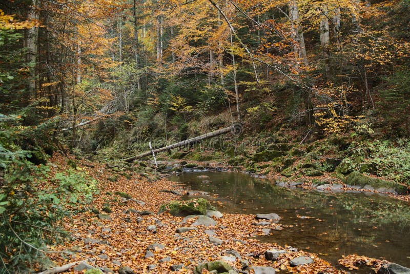 Autumn River in the Mountains Stock Image - Image of valley, mighty ...