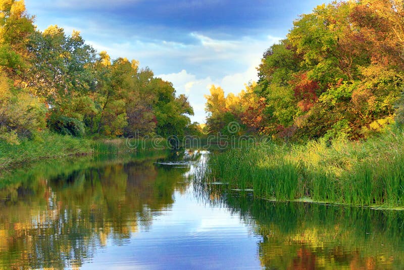 Autumn river stock photo. Image of outdoor, reed, nature - 34019718
