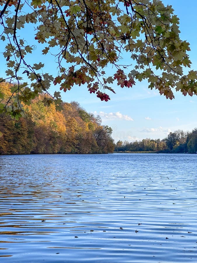 Autumn River Reflection stock image. Image of scene - 338456583