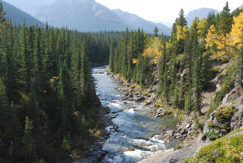 Autumn river valley stock photo. Image of alberta, creek - 6953702