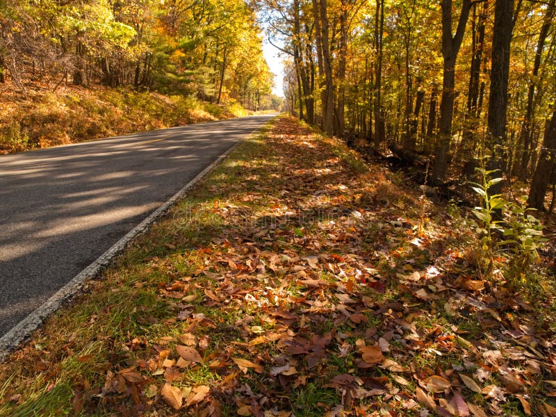 Autumn Road stock photo. Image of park, drive, autumn - 11185082