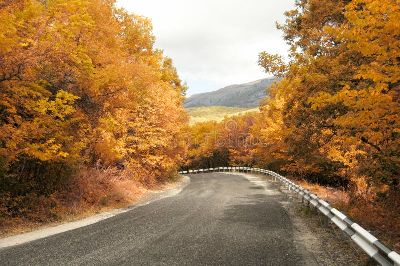 Autumn road stock photo. Image of colorful, landscape - 11238246