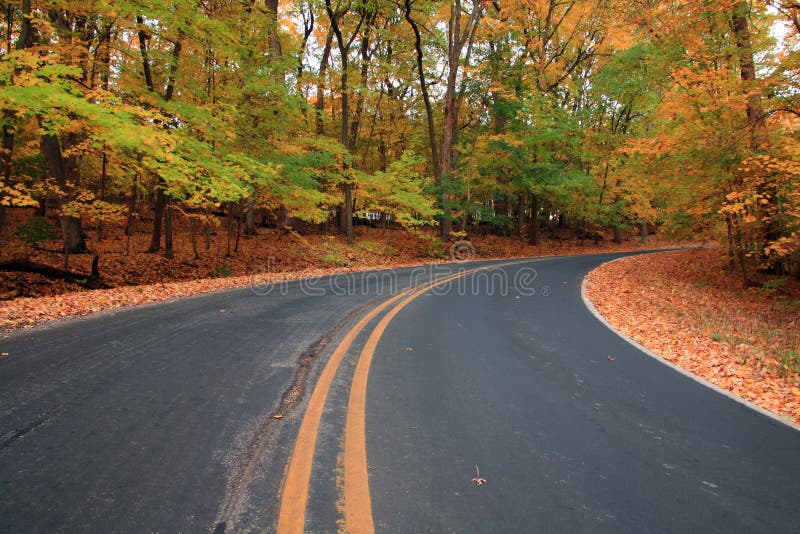 Autumn road stock image. Image of shadow, mark, asphalt - 12543259