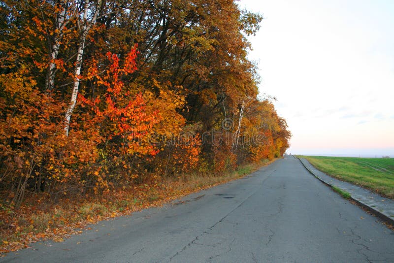 Autumn/fall road. stock photo. Image of season, raining - 1485954