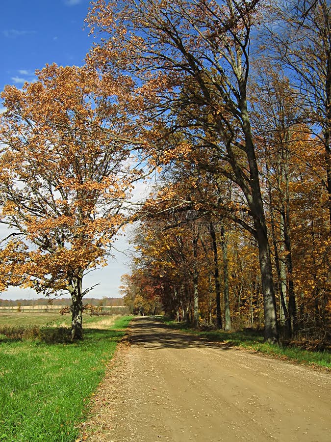 Autumn Road stock image. Image of autumn, meadow, fall - 20722887